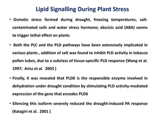 Plant lipidomics | PPTX