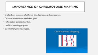 CHROMOSOME MAPPING PRESENTATION OUAT PBG | PPTX