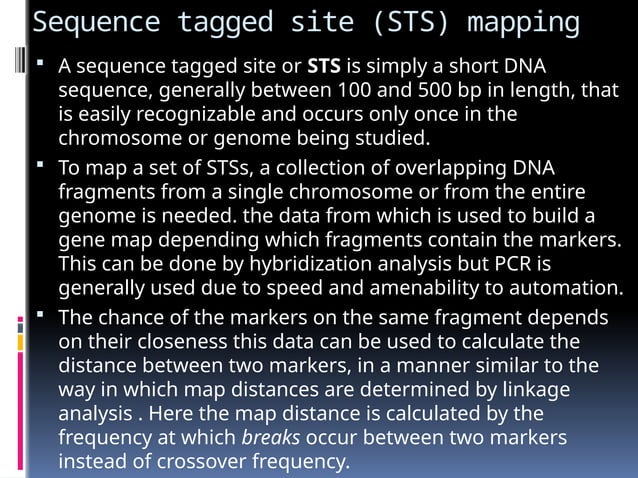 Chromosome mapping in eukaryotes and prokaryotes.pptx
