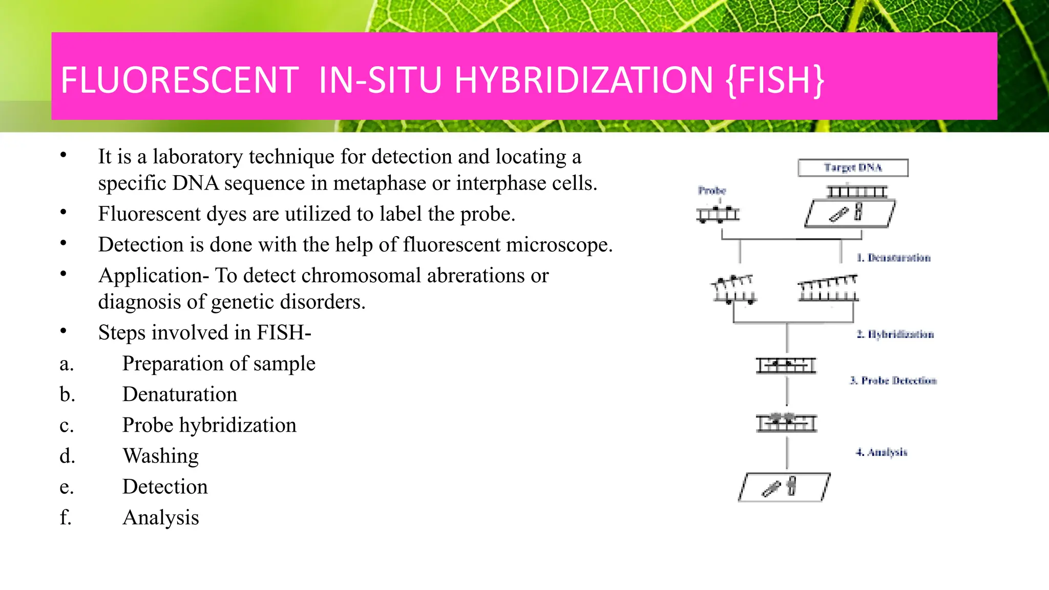 chromosome micro dissection nd micro cloning.pptx