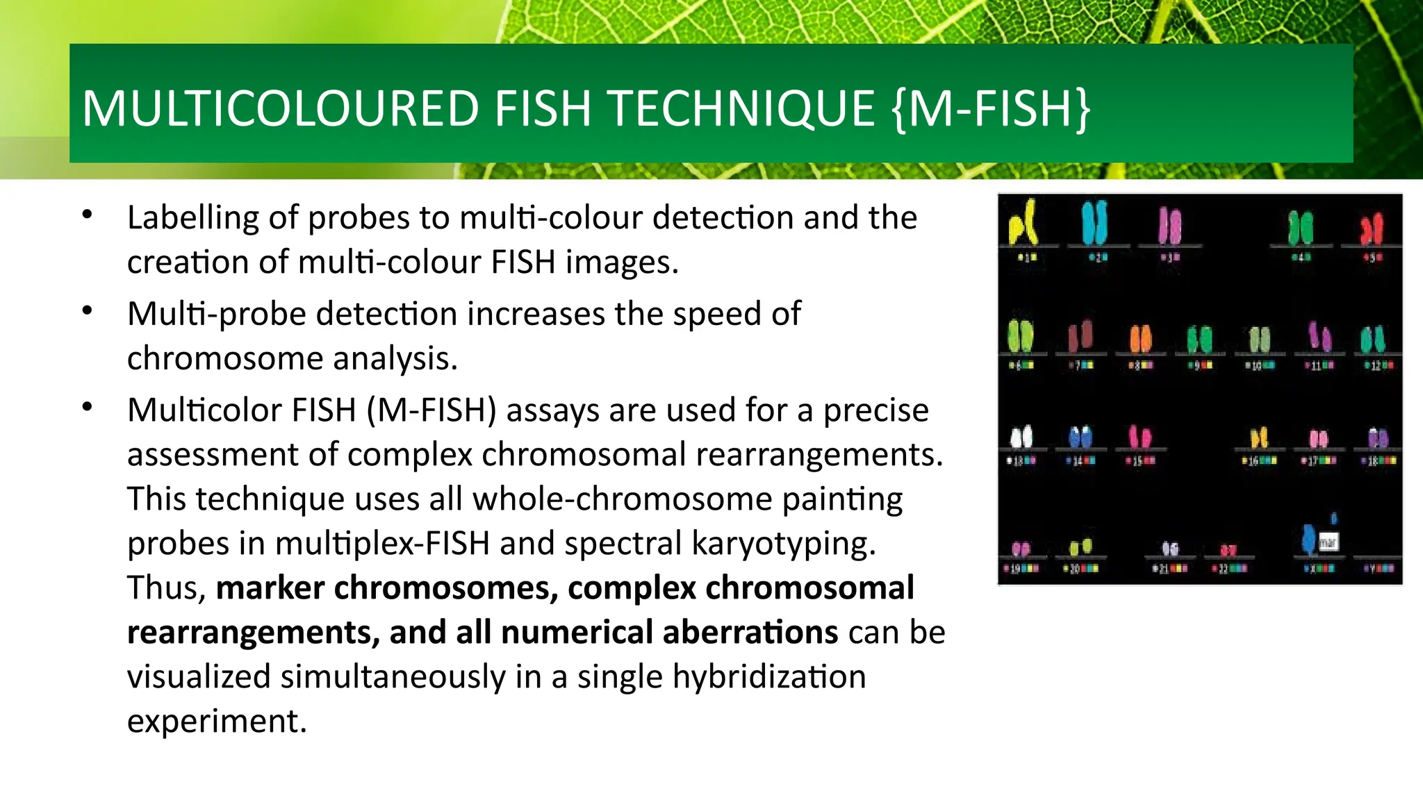 chromosome micro dissection nd micro cloning.pptx