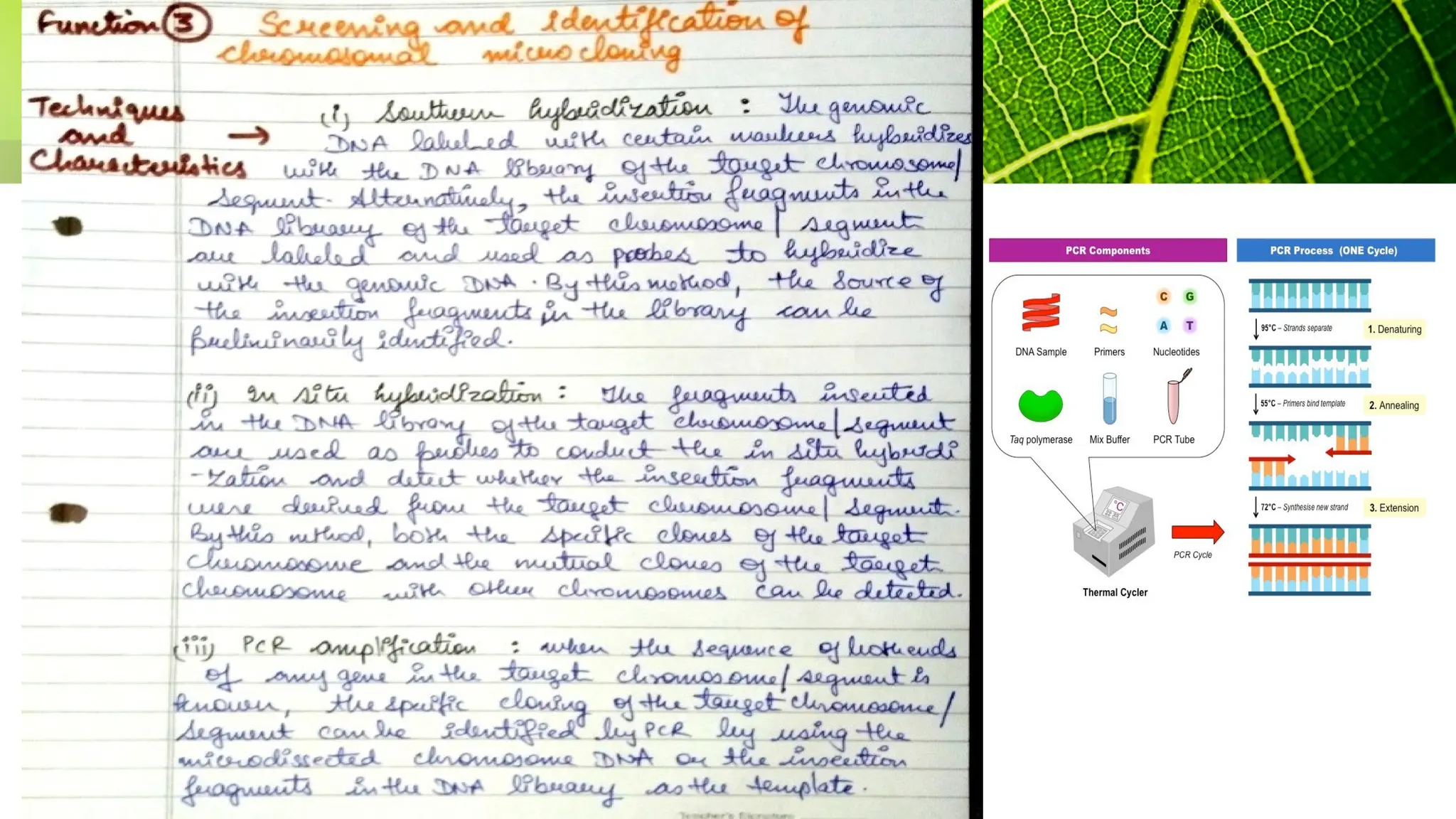 chromosome micro dissection nd micro cloning.pptx