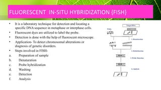 chromosome micro dissection nd micro cloning.pptx
