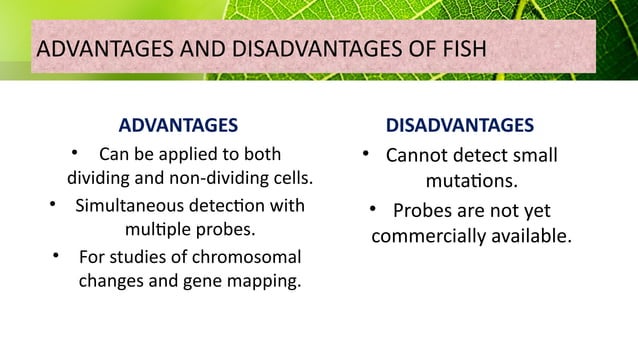 chromosome micro dissection nd micro cloning.pptx