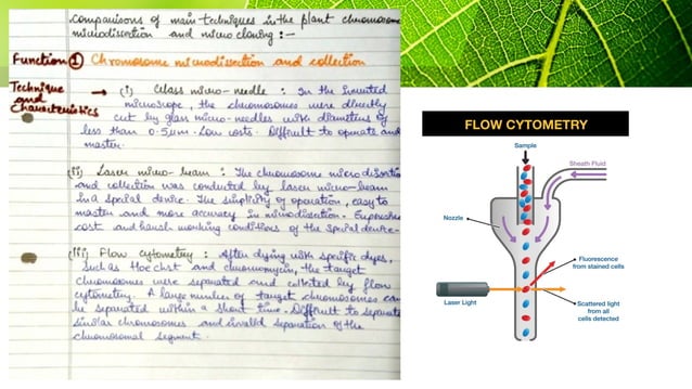 chromosome micro dissection nd micro cloning.pptx