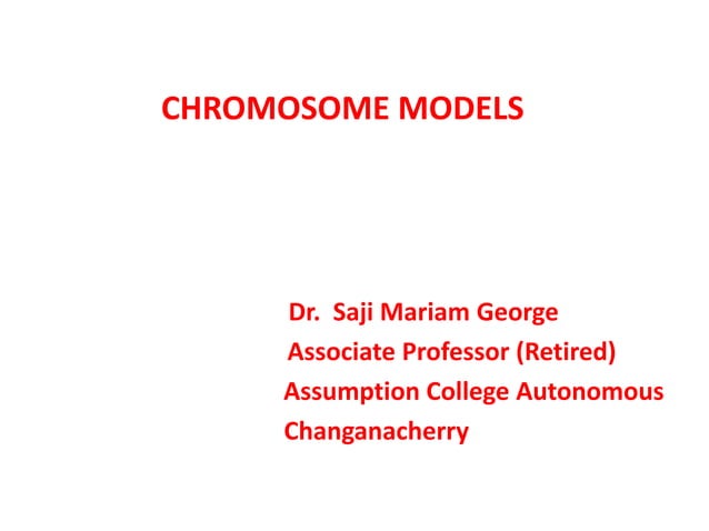 CHROMOSOME MODELS SMG | PPTX | Genetics | Science