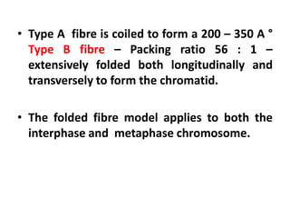 CHROMOSOME MODELS SMG | PPTX