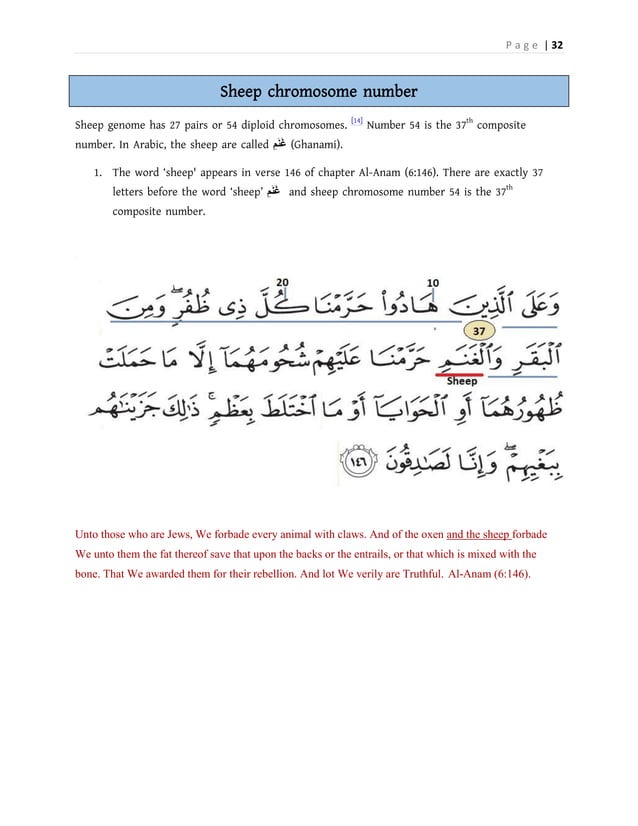 Chromosome numbers in the Holy Quran | PDF | Islam | Religion ...
