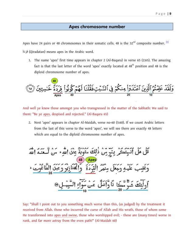 Chromosome numbers in the Holy Quran | PDF | Islam | Religion ...