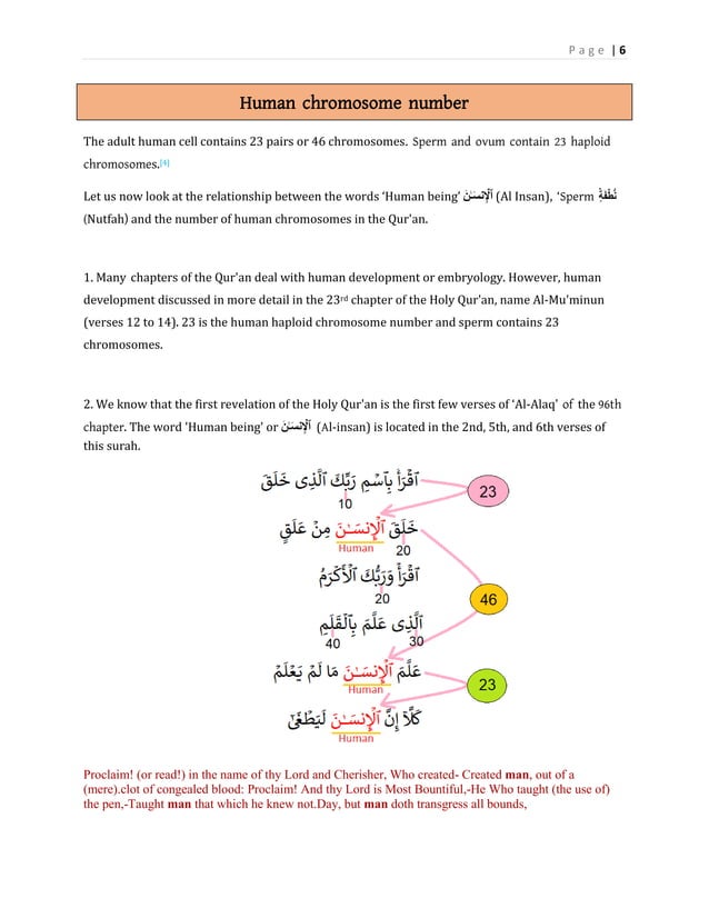 Chromosome numbers in the holy quran | PDF
