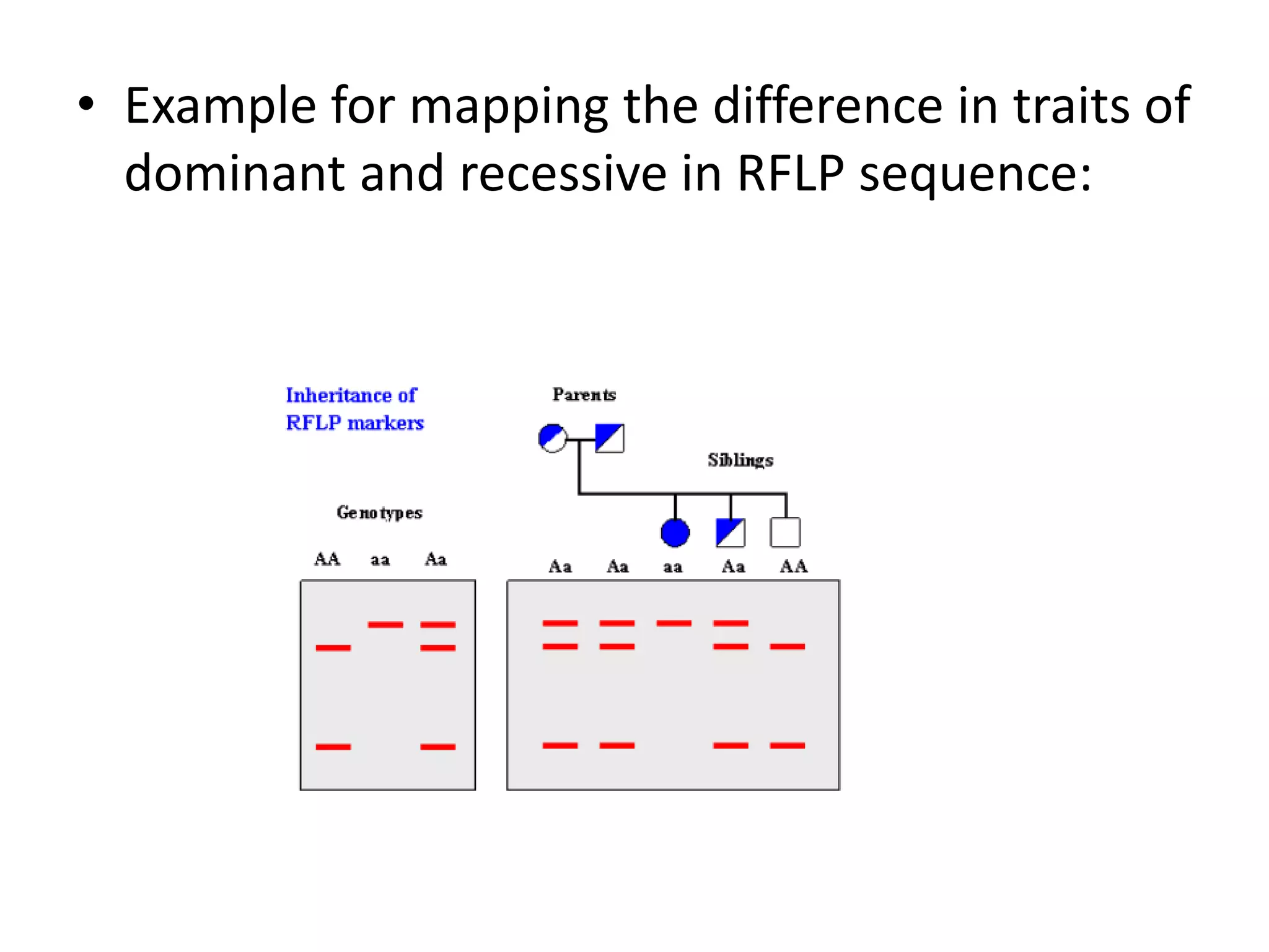 Chromosome or gene mapping &Linkage analysis | PPTX
