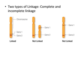 Chromosome or gene mapping &Linkage analysis | PPTX