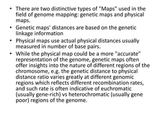 Chromosome or gene mapping &Linkage analysis | PPTX