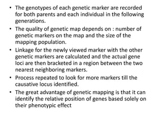 Chromosome or gene mapping &Linkage analysis | PPTX
