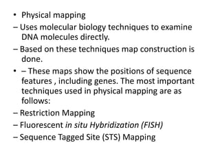 Chromosome or gene mapping &Linkage analysis | PPTX