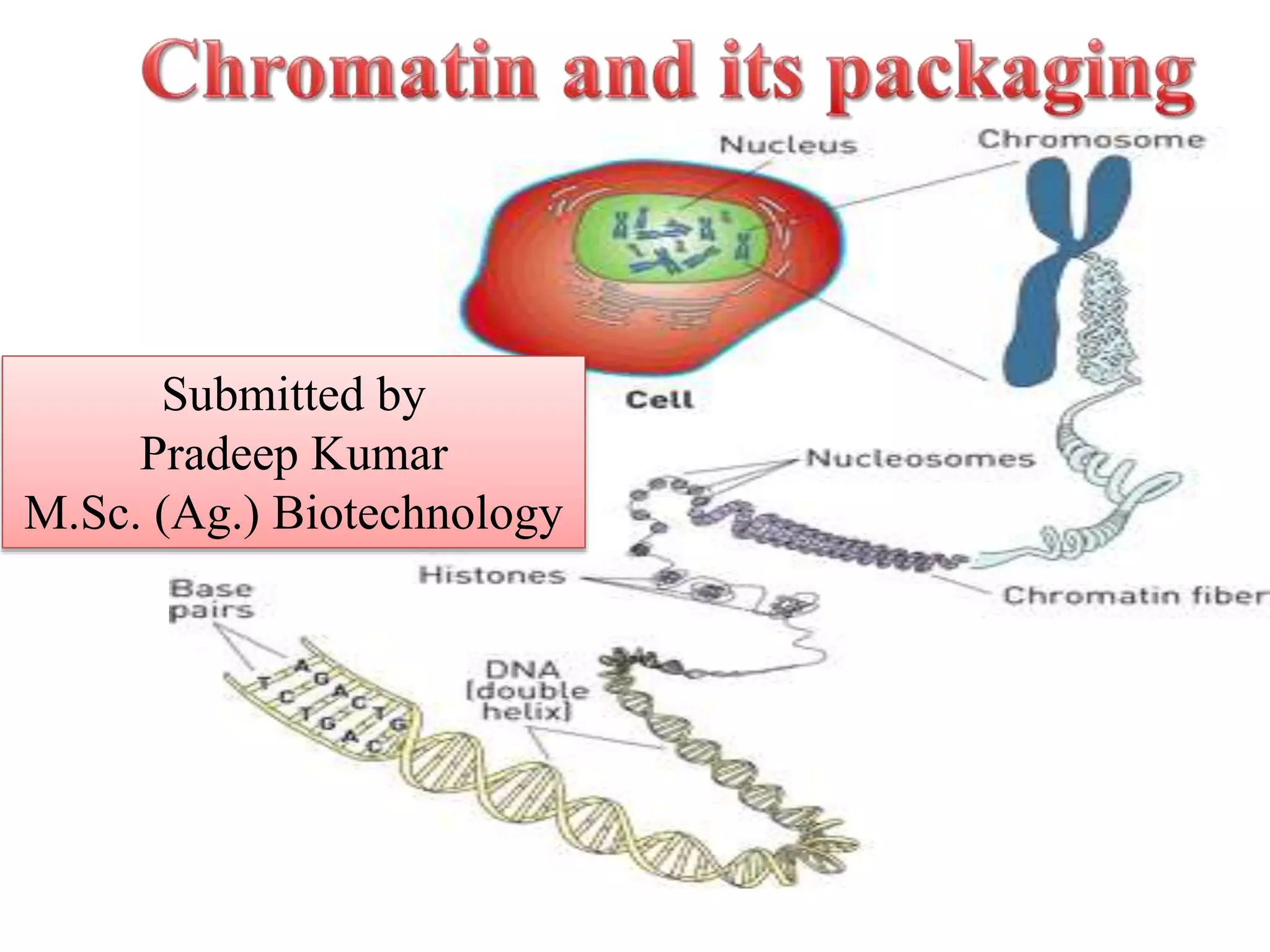 Chromosome packaging | PPTX