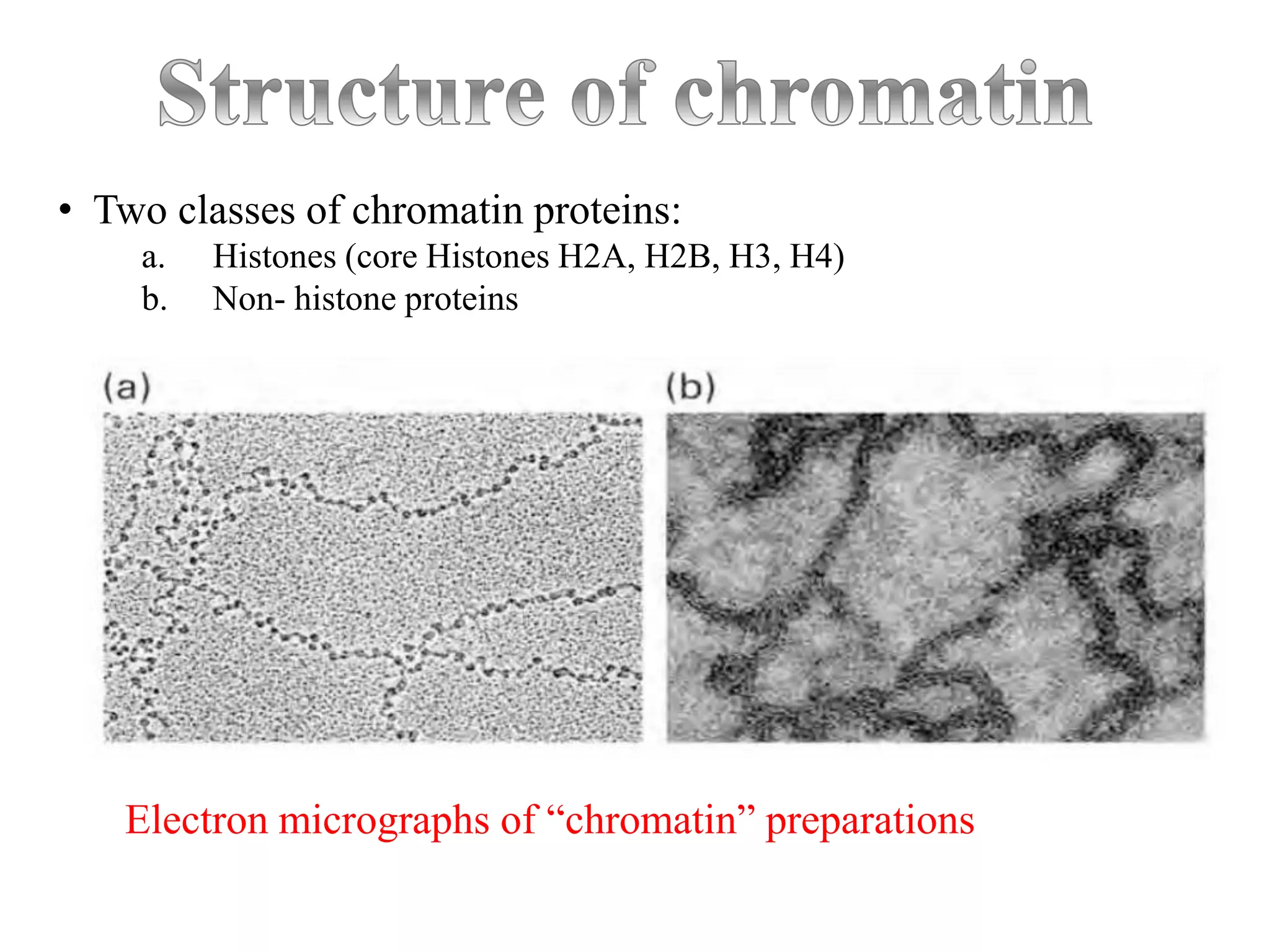 Chromosome packaging | PPTX