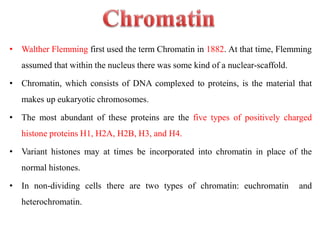 Chromosome packaging | PPTX