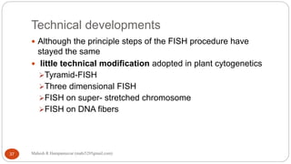FISH and GISH : Chromosome painting | PPTX