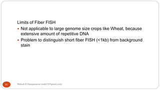 FISH and GISH : Chromosome painting | PPTX