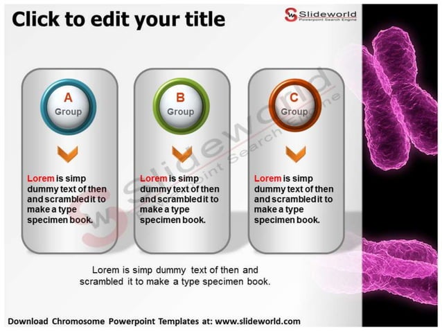 Chromosome PowerPoint Templates - SlideWorld.com