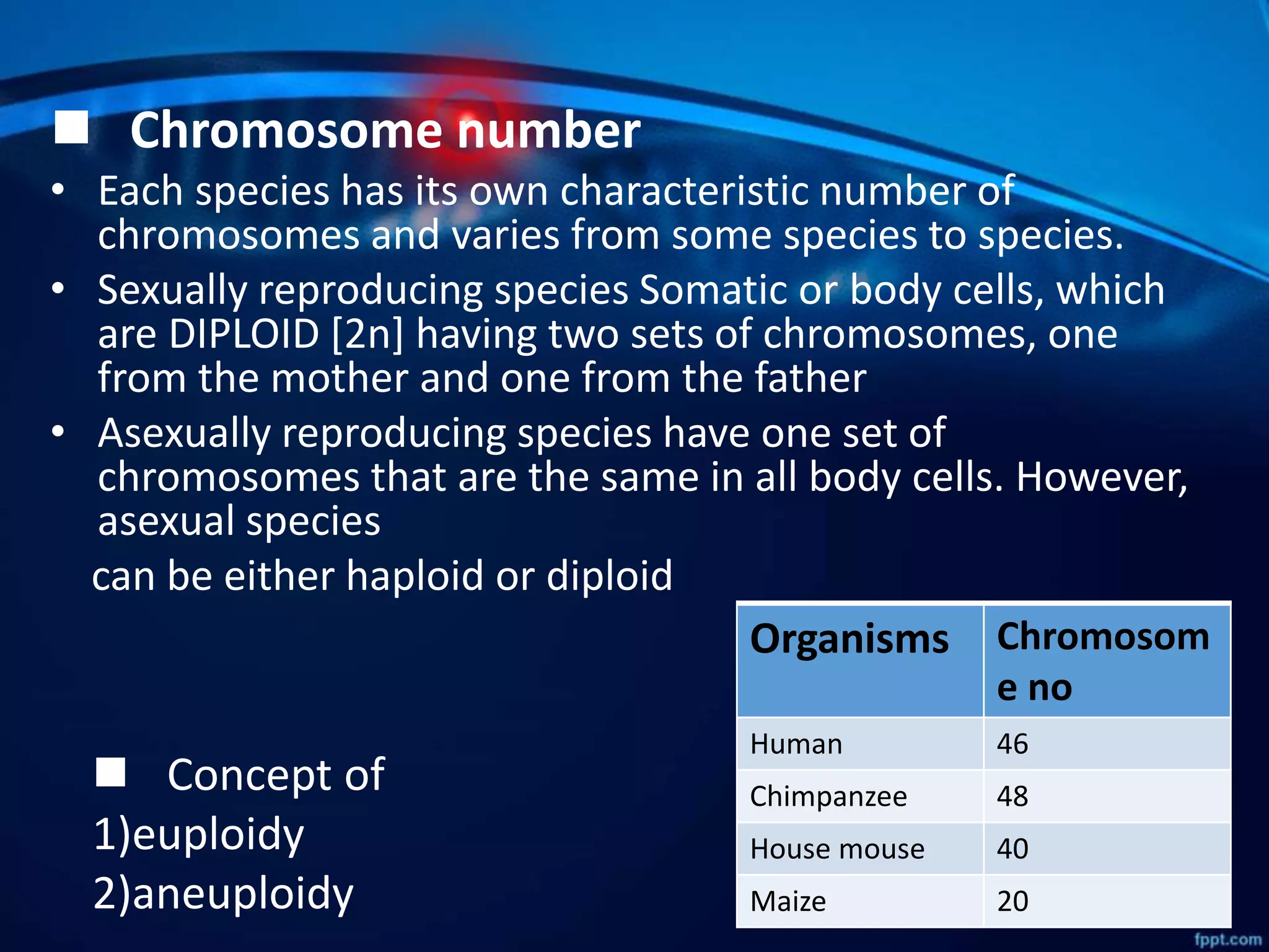 Chromosome ,shape and size ppt | PPTX