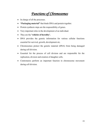 Chromosomes | PDF