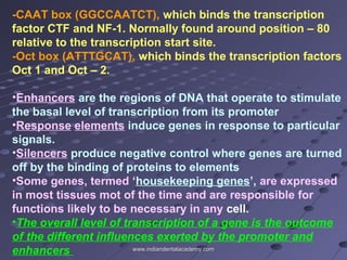 Chromosomes /certified fixed orthodontic courses by Indian dental ...