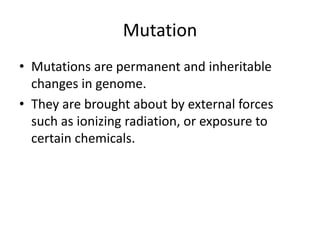 Chromosomes | PPTX | Biological Sciences | Science