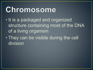 Chromosomes | PPT