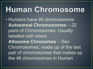 Chromosomes | PPT