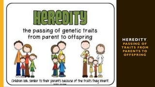 Grade 8 Science - Chromosomes | PDF
