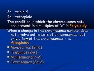 Chromosomes | PPT