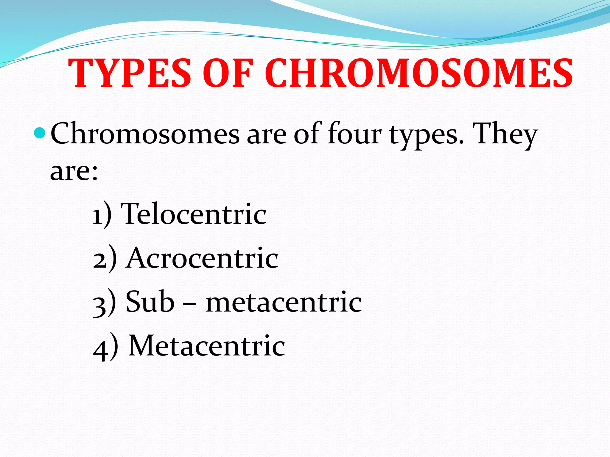 Chromosomes | PPTX