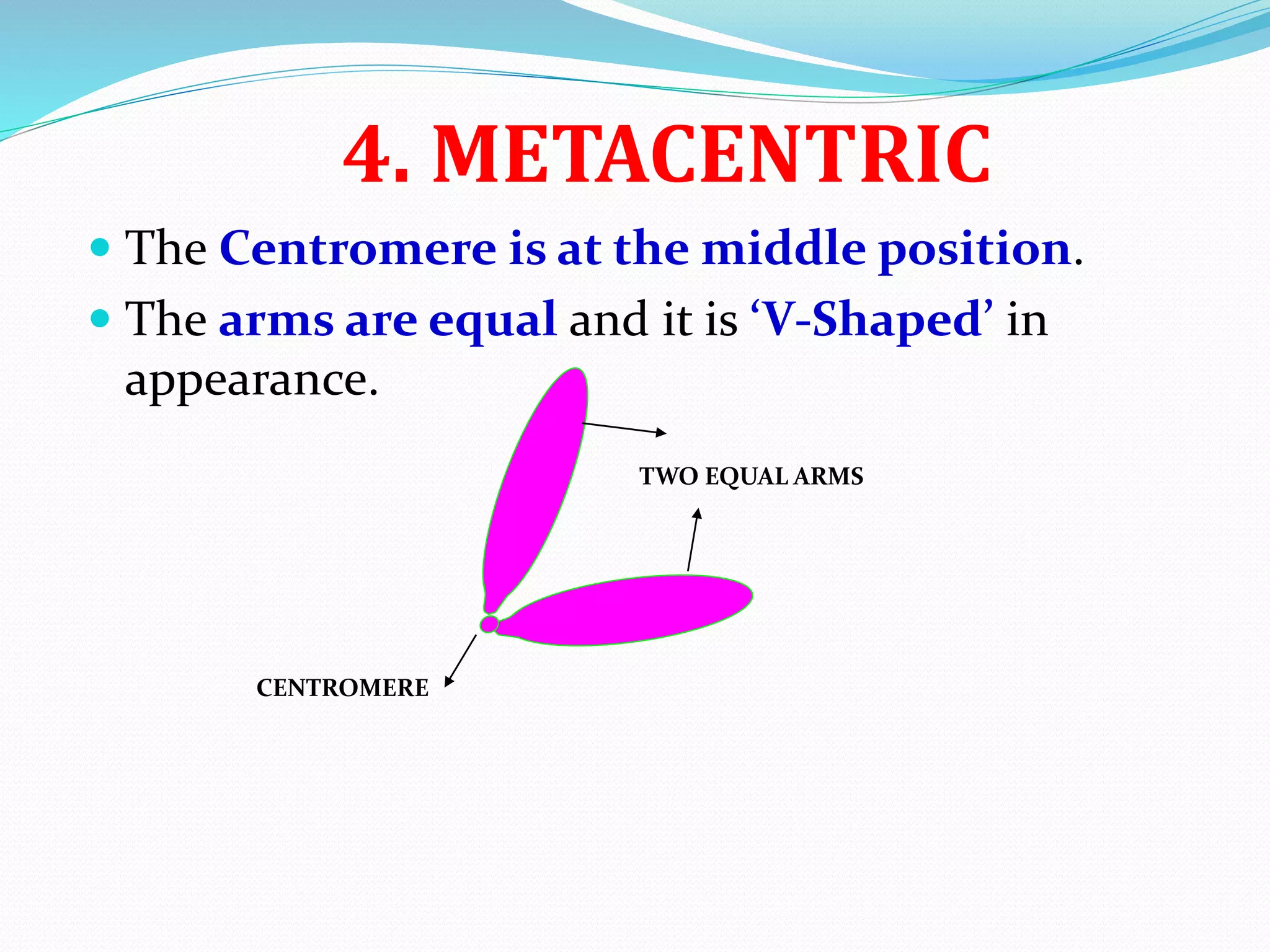 Chromosomes | PPTX