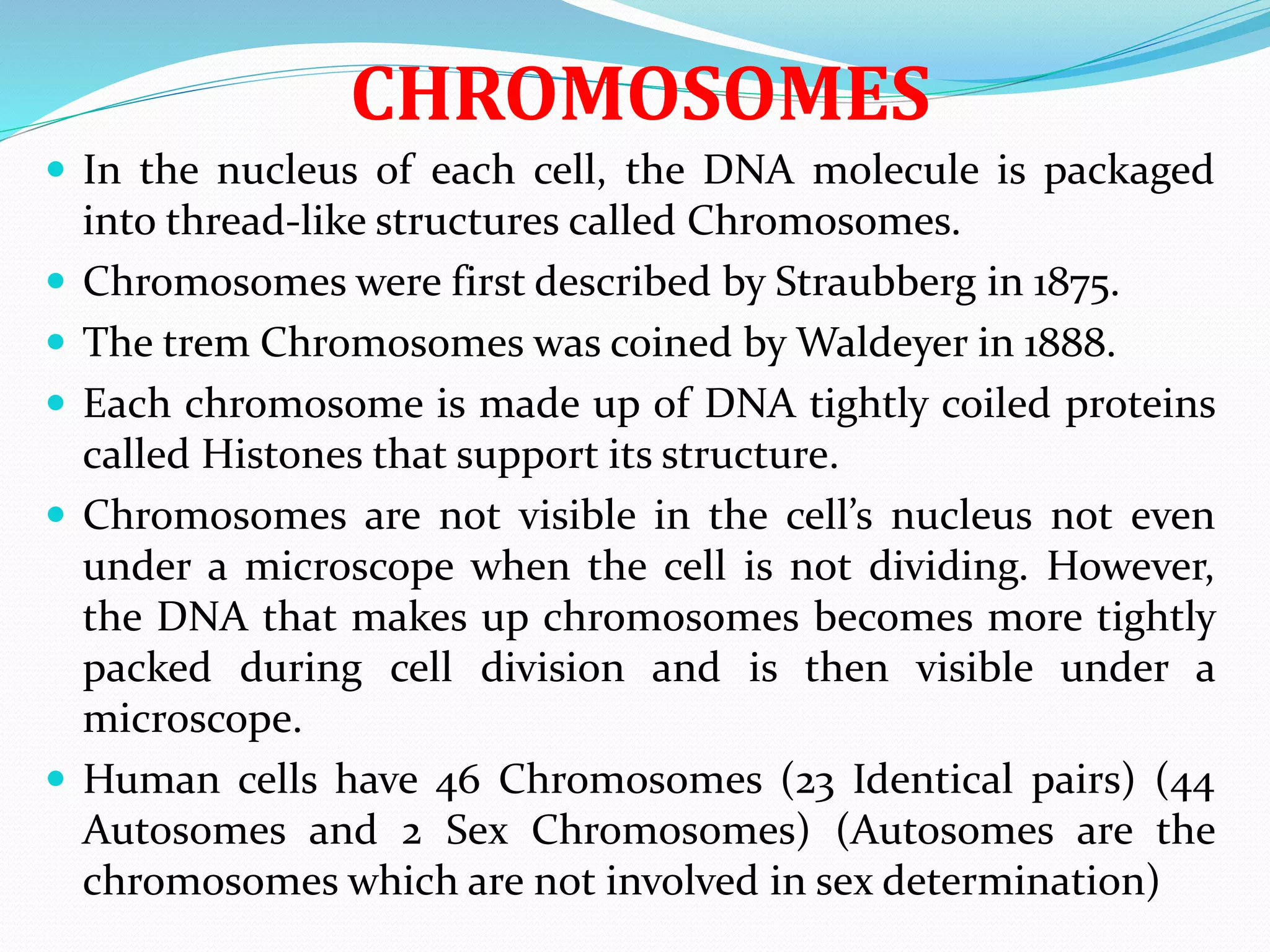 Chromosomes | PPTX