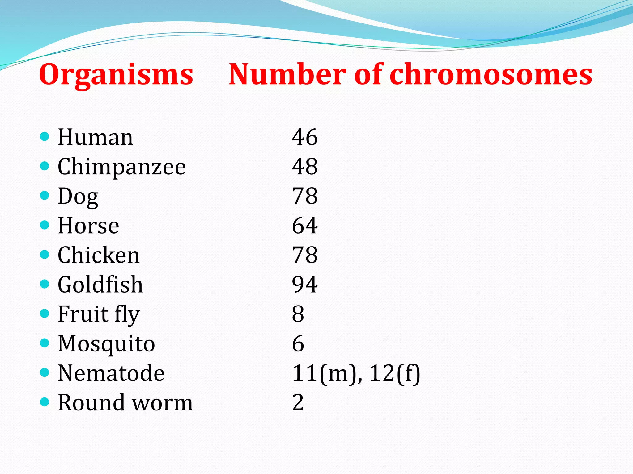 Chromosomes | PPTX
