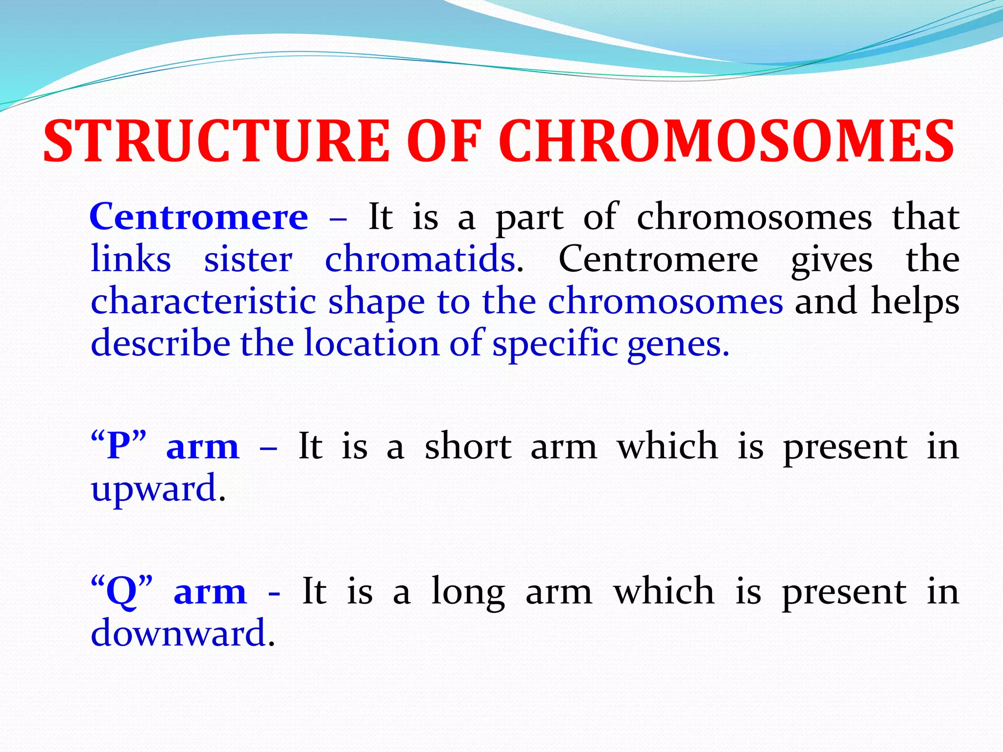 Chromosomes | PPTX