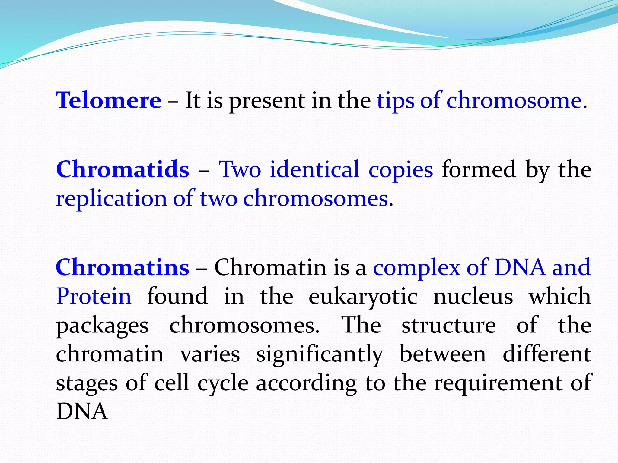 Chromosomes | PPTX