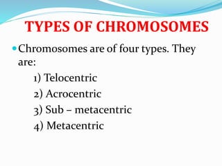 Chromosomes | PPTX