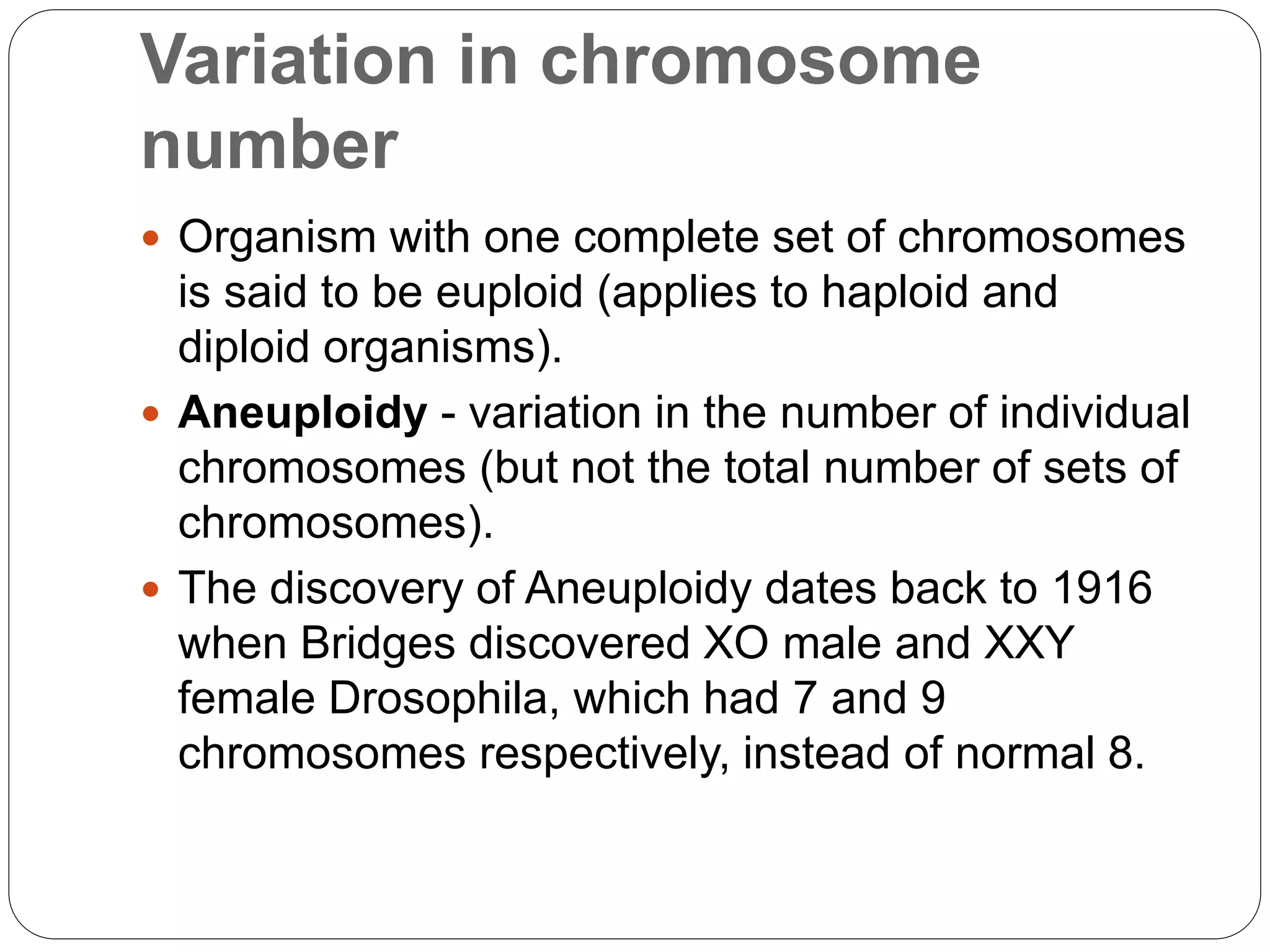 Introduction to Chromosomes | PPTX