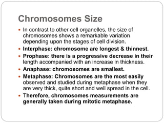 Introduction to Chromosomes | PPTX