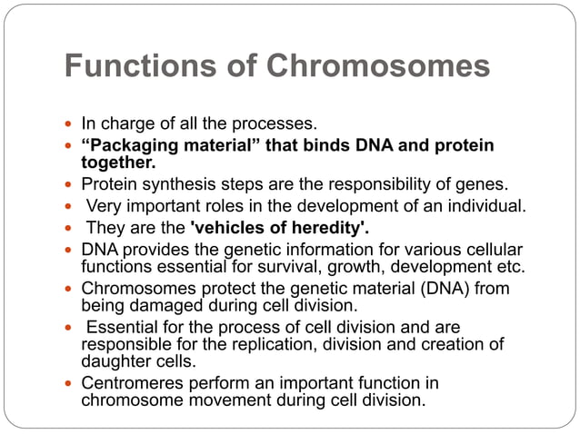 Introduction to Chromosomes | PPTX