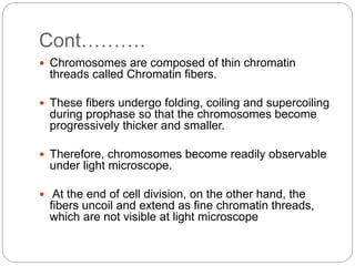 Introduction to Chromosomes | PPTX