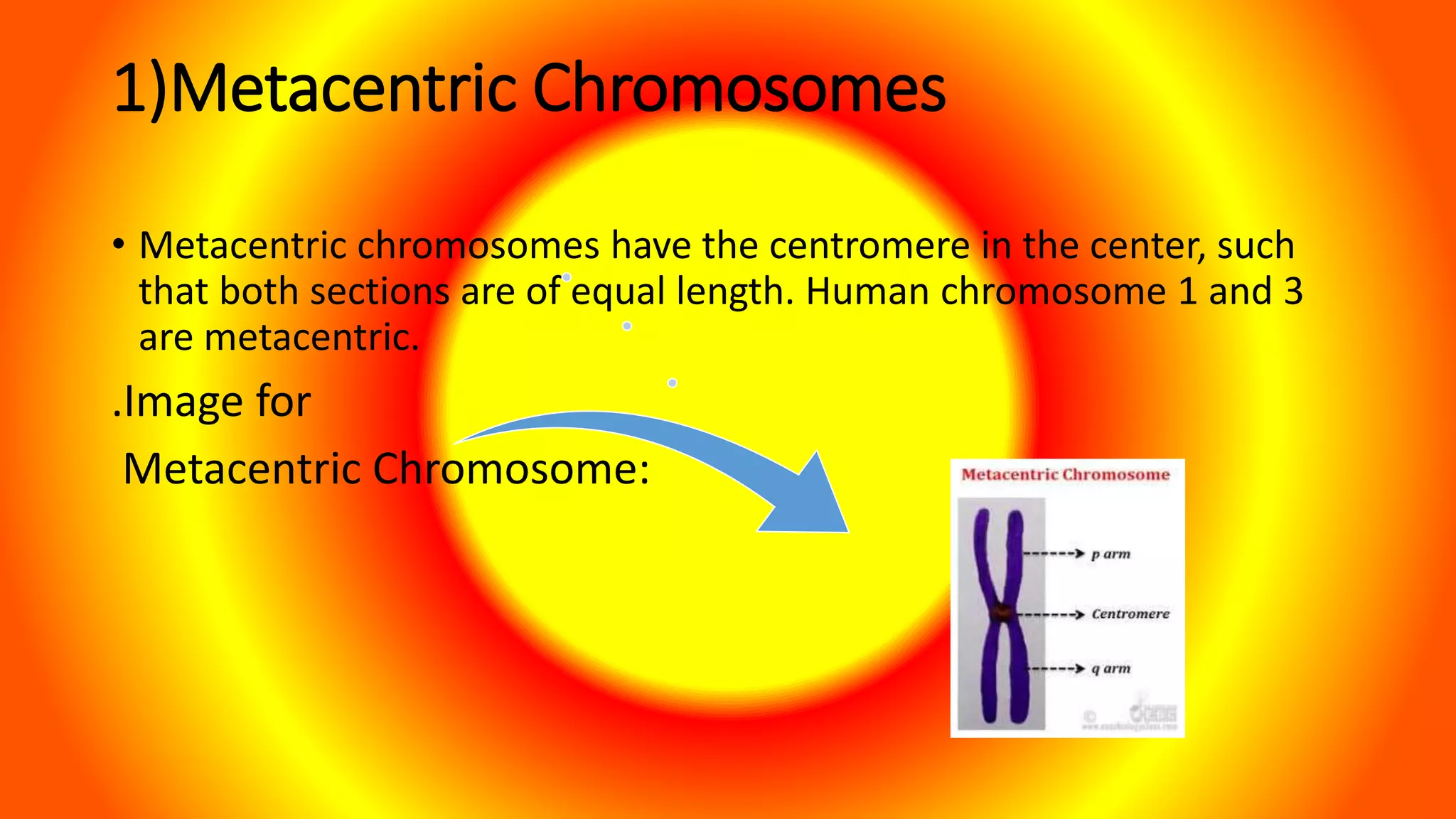 Chromosomes | PPT