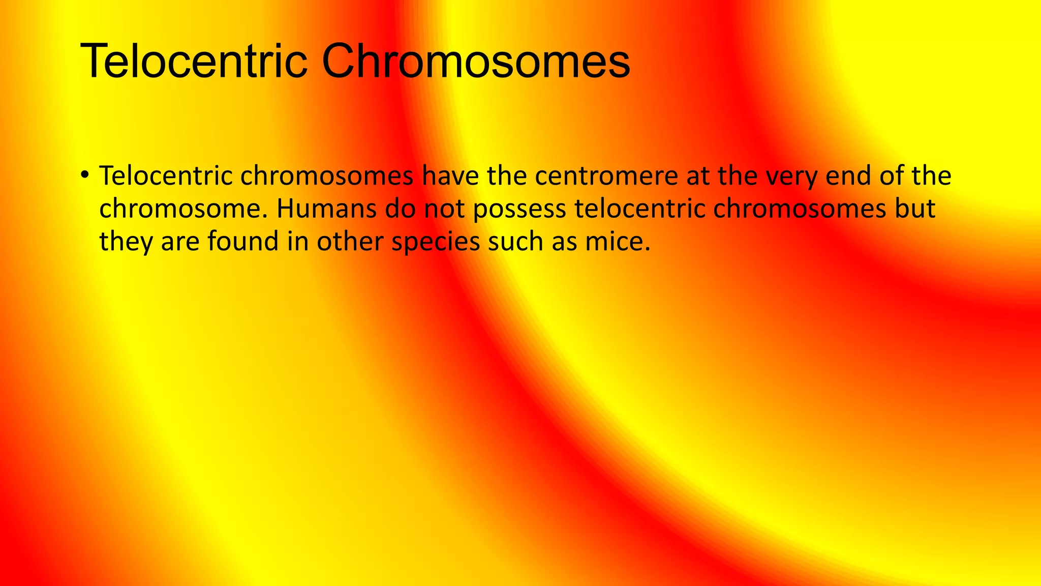 Chromosomes | PPTX