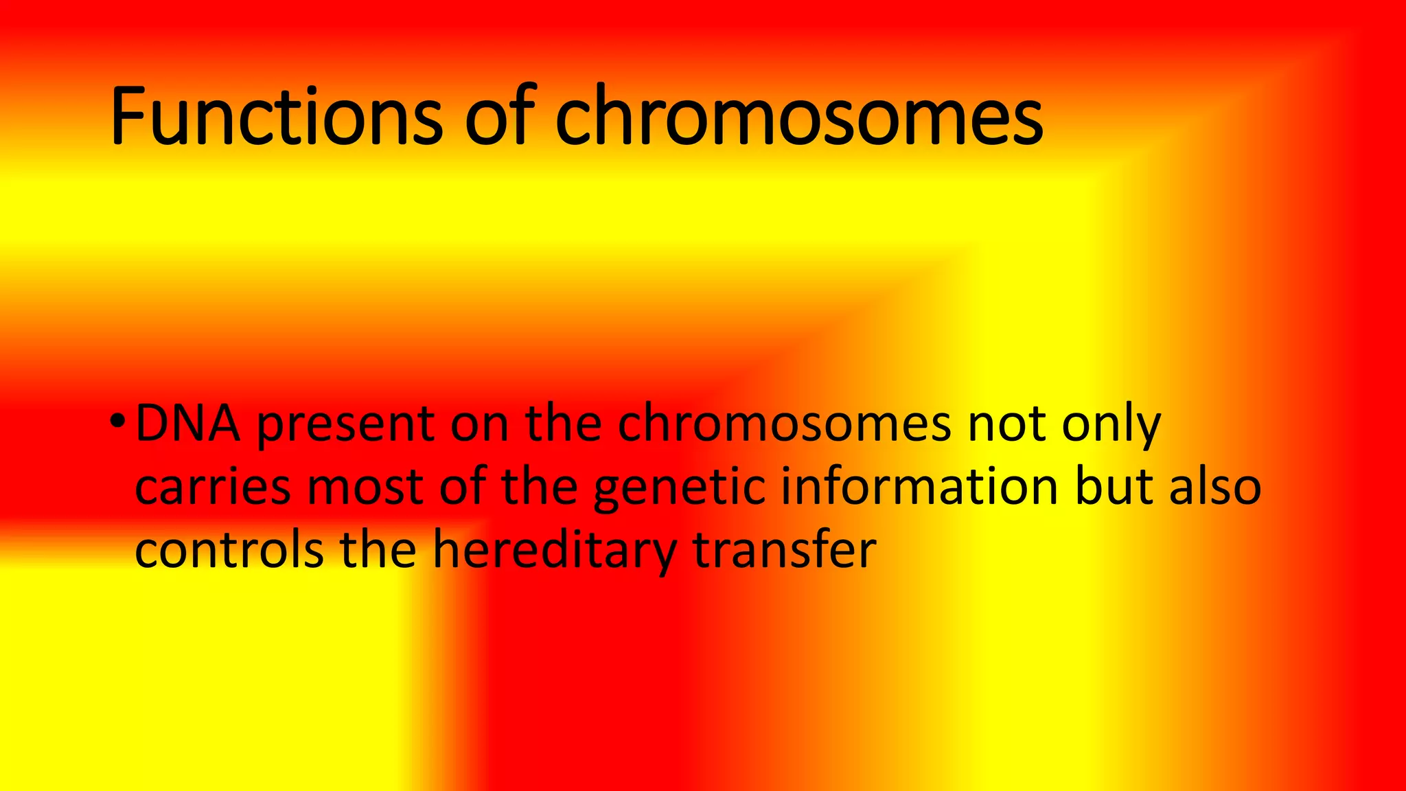Chromosomes | PPT