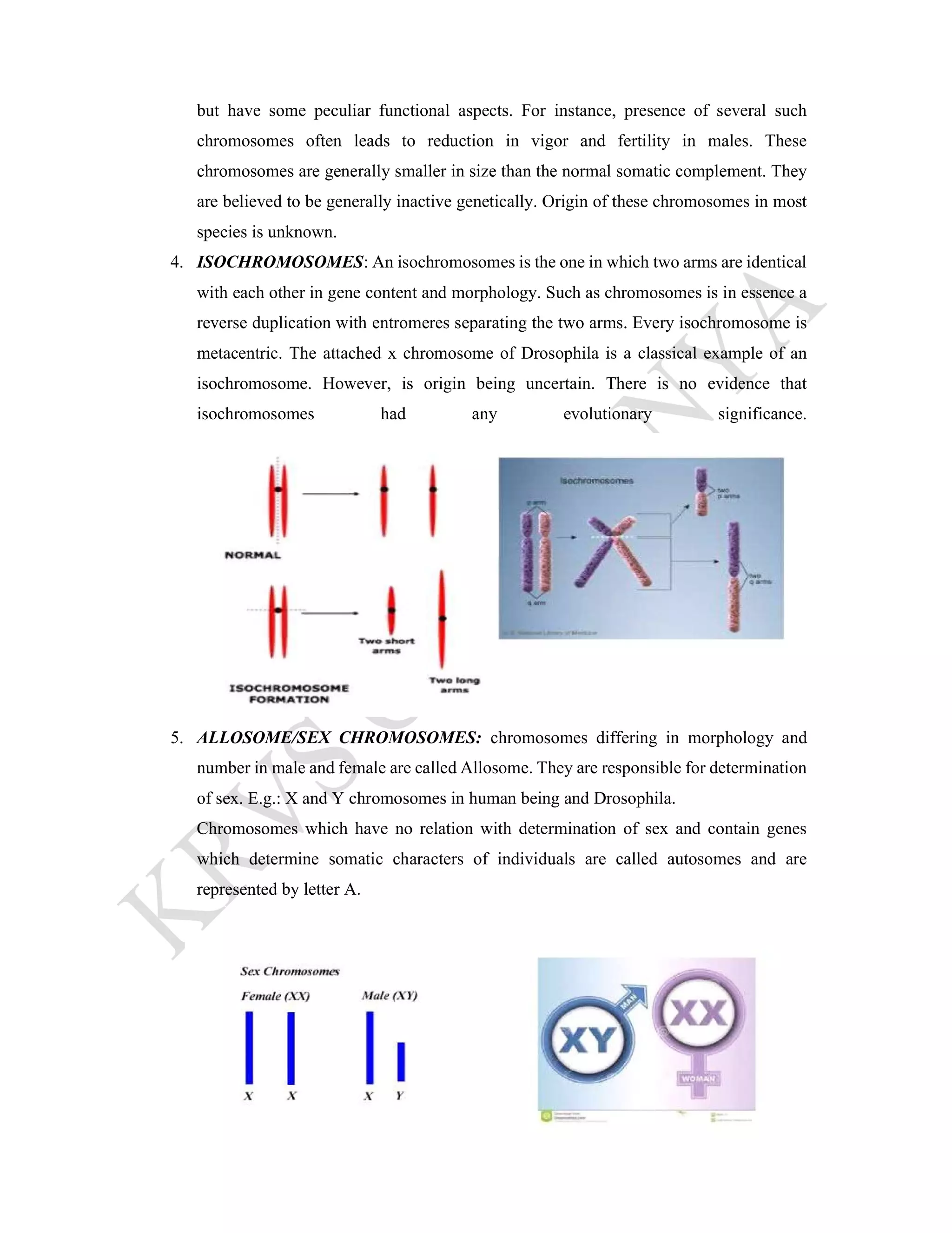 CHROMOSOMES AND SPECIAL TYPES OF CHROMOSOMES | PDF