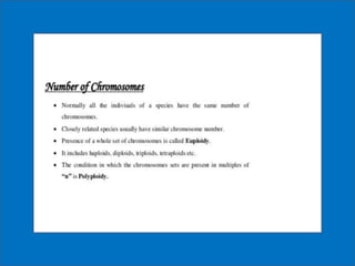 Chromosomes | PPT