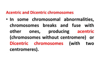CHROMOSOMES SMG | PPTX | Biological Sciences | Science